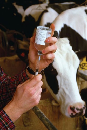 Basic Livestock Care Skills - Grit
